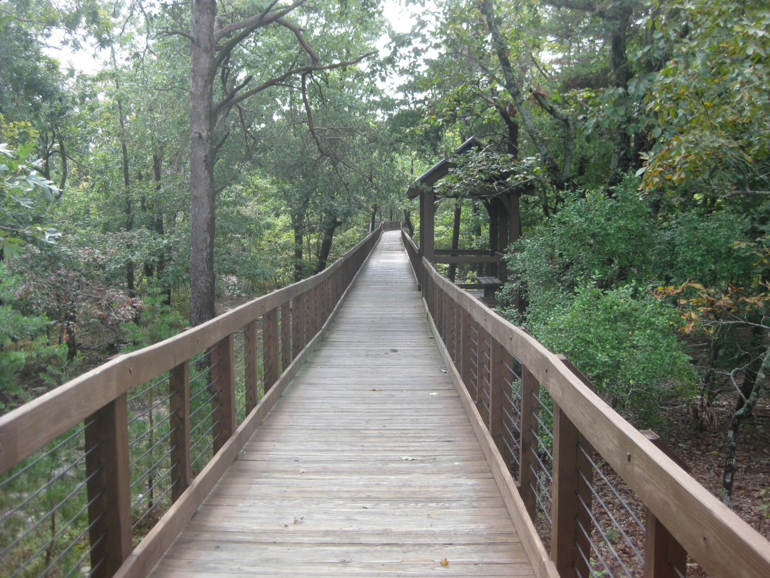 Cheaha State Park Trail Map