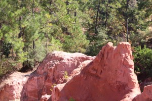 Red Bluff: The Grand Canyon of Mississippi - Sharing Horizons