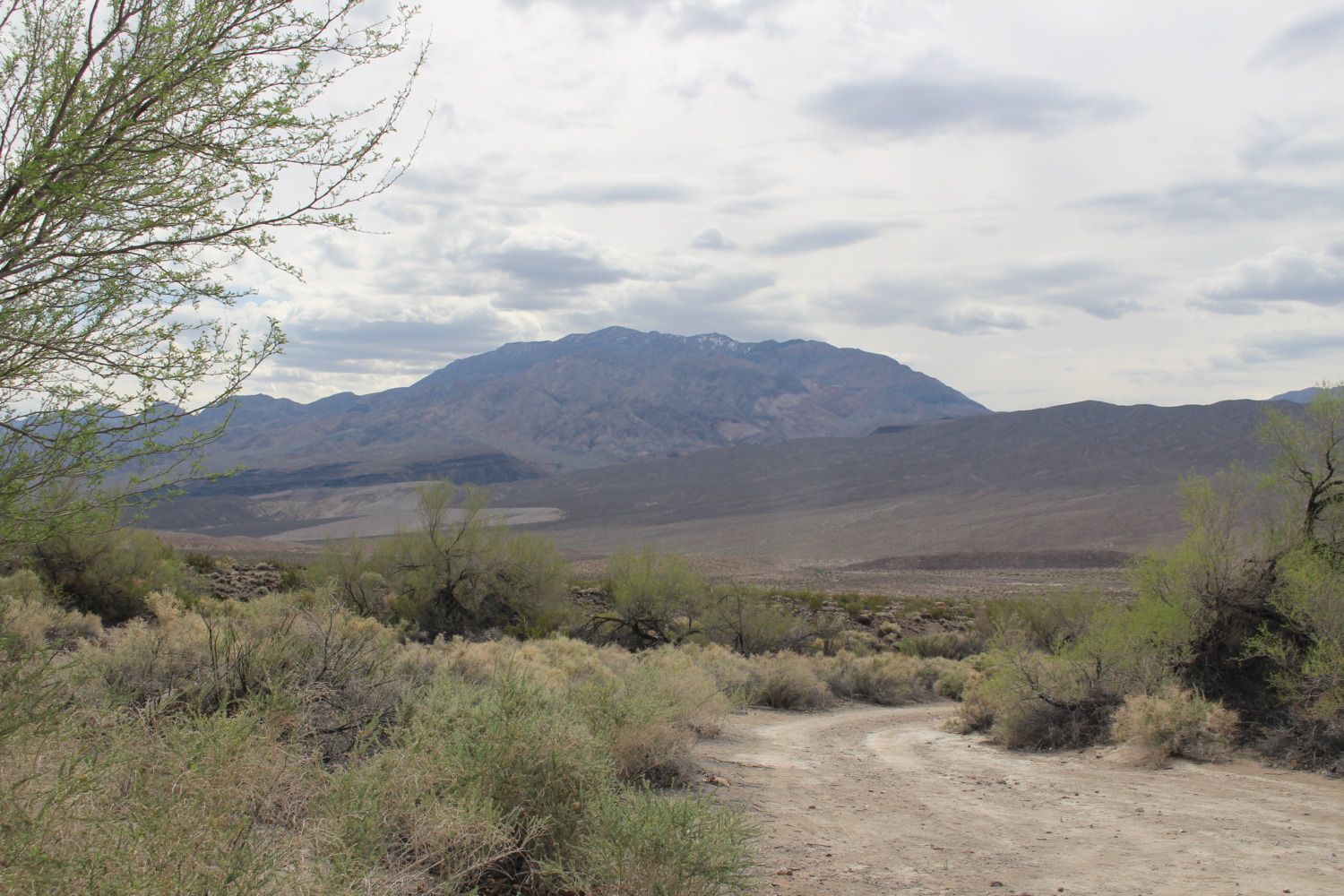 Lower Vine Ranch - Sharing Horizons