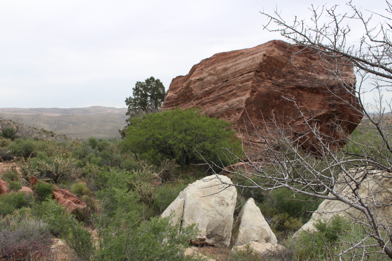 Spring Mountain Ranch State Park - Sharing Horizons