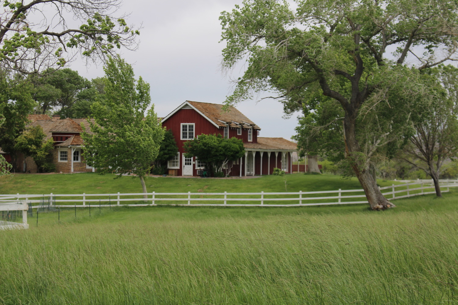 Spring Mountain Ranch State Park - Sharing Horizons