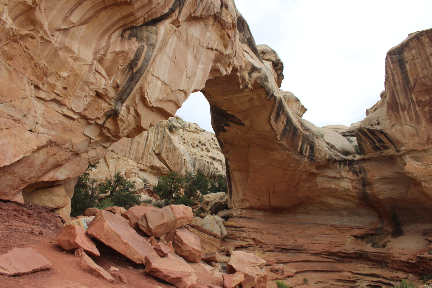 Capitol Reef National Park - Sharing Horizons