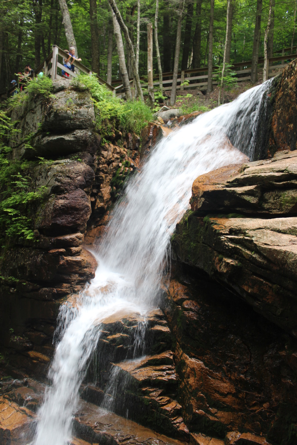 Franconia Notch Flume Gorge - Sharing Horizons