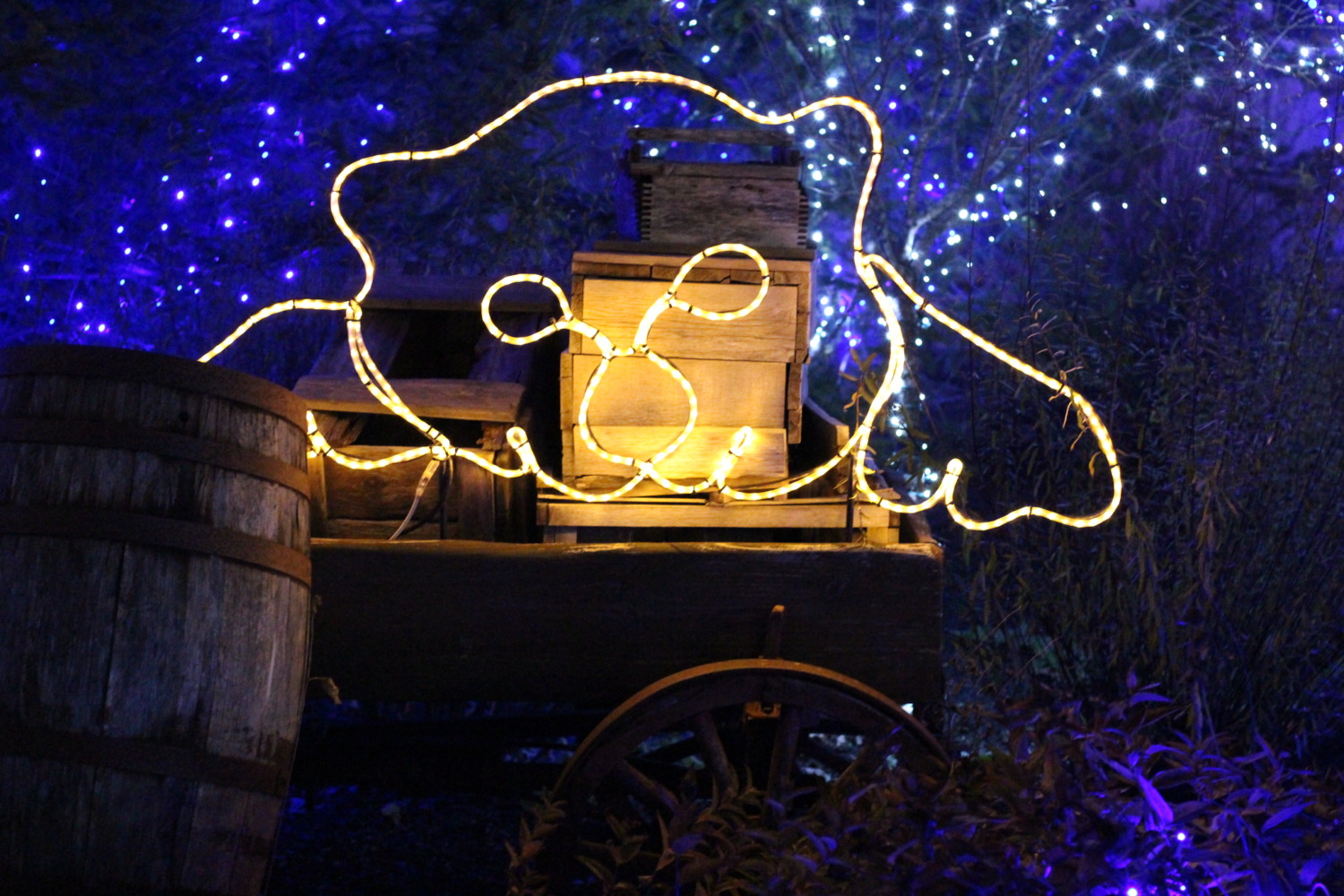 Wildlights at the Columbus Zoo - Sharing Horizons