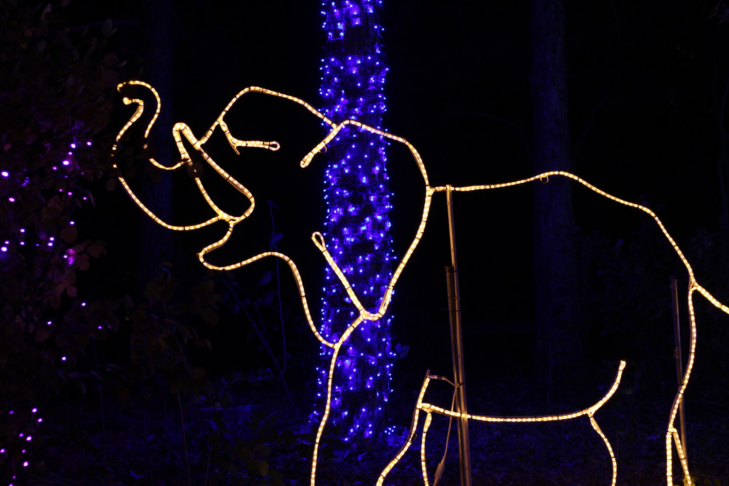 Wildlights at the Columbus Zoo - Sharing Horizons