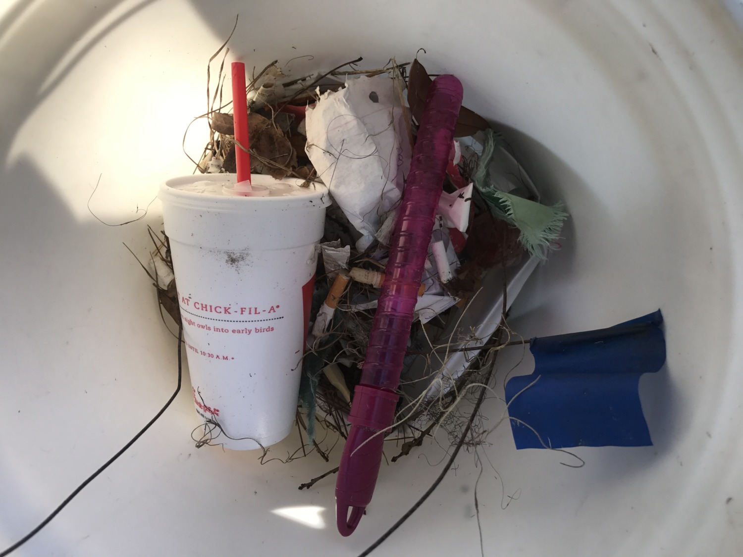 What's In My Bucket? A Hidden Objects Challenge - Sharing Horizons