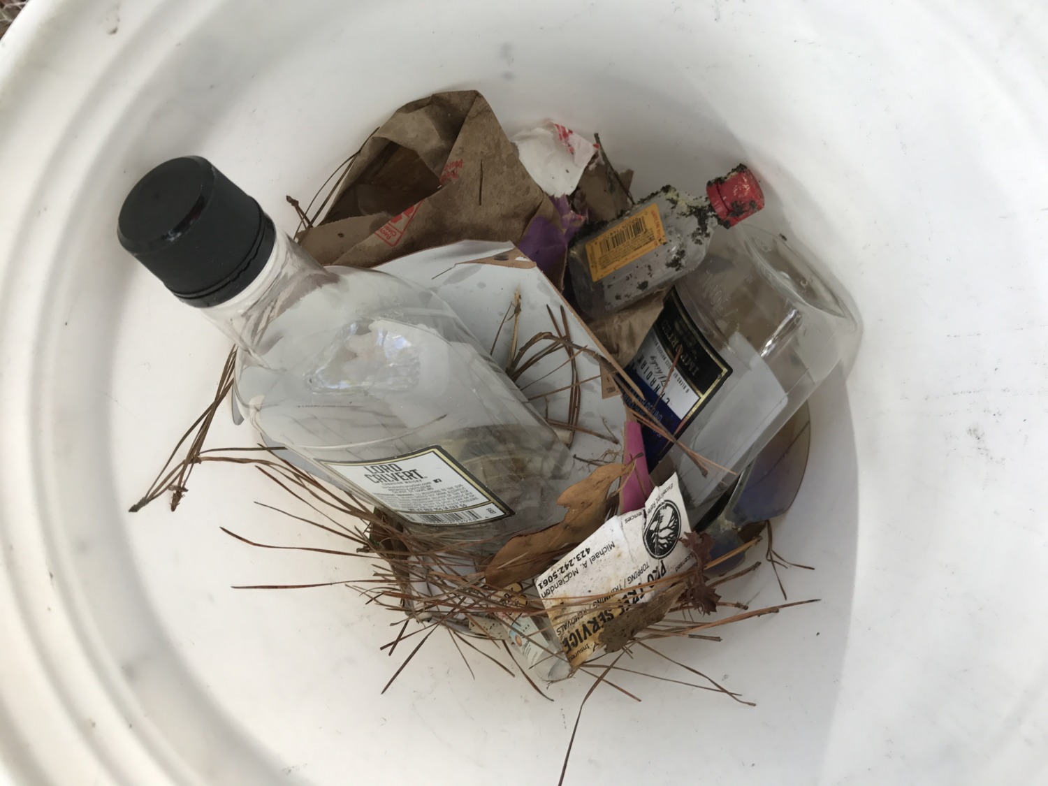 What's In My Bucket? A Hidden Objects Challenge - Sharing Horizons