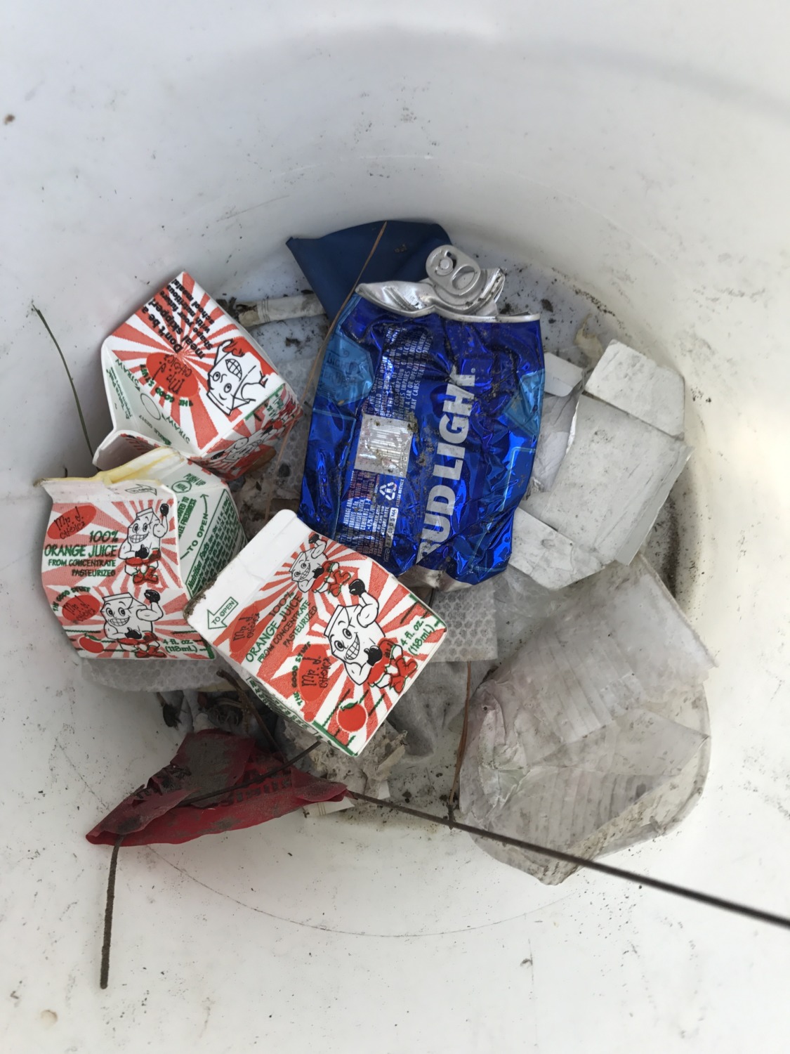 What's In My Bucket? A Hidden Objects Challenge - Sharing Horizons