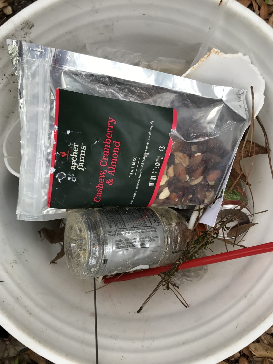 What's In My Bucket? A Hidden Objects Challenge - Sharing Horizons