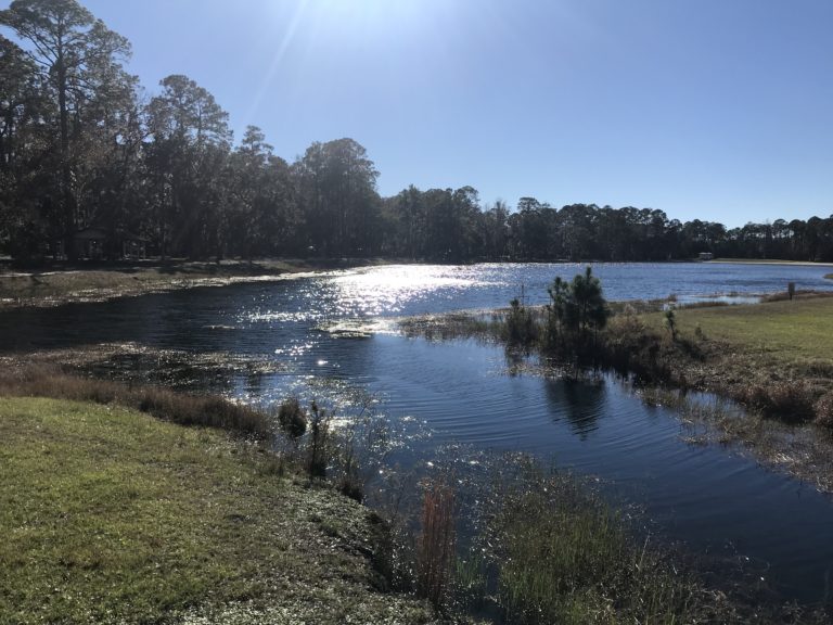 Blythe Island Regional Park, Brunswick Georgia - Sharing Horizons