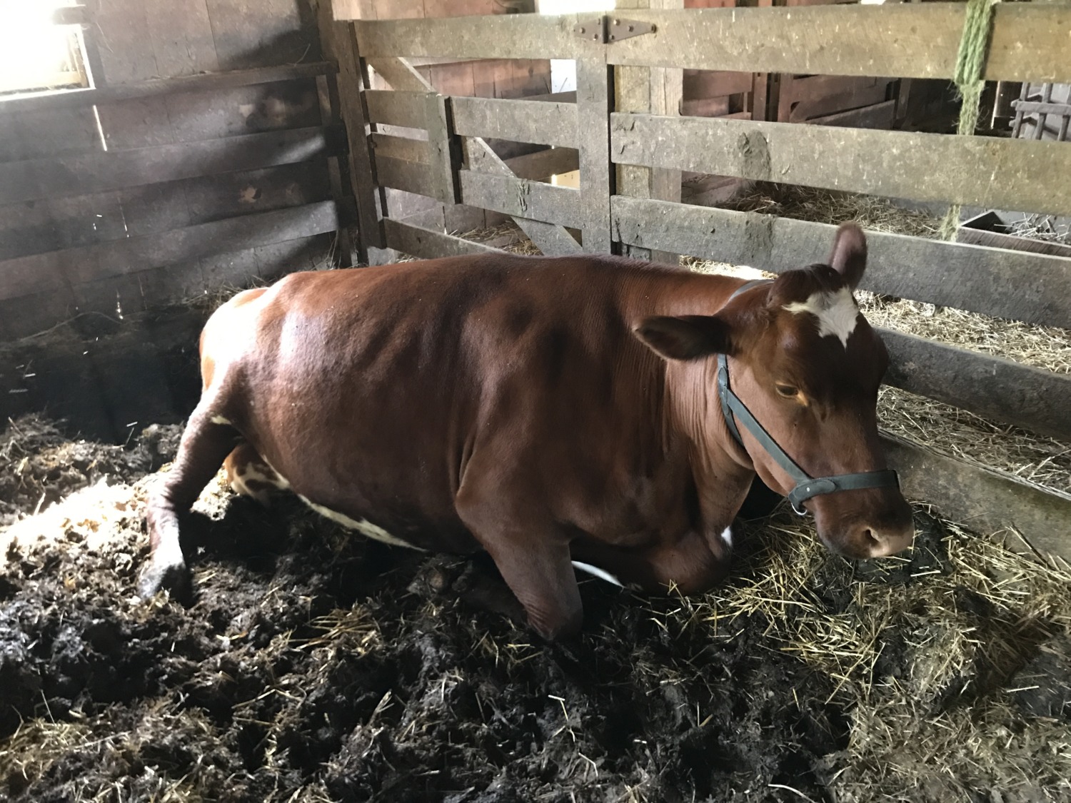 Slate Run Living Historical Farm Metro Park - Sharing Horizons