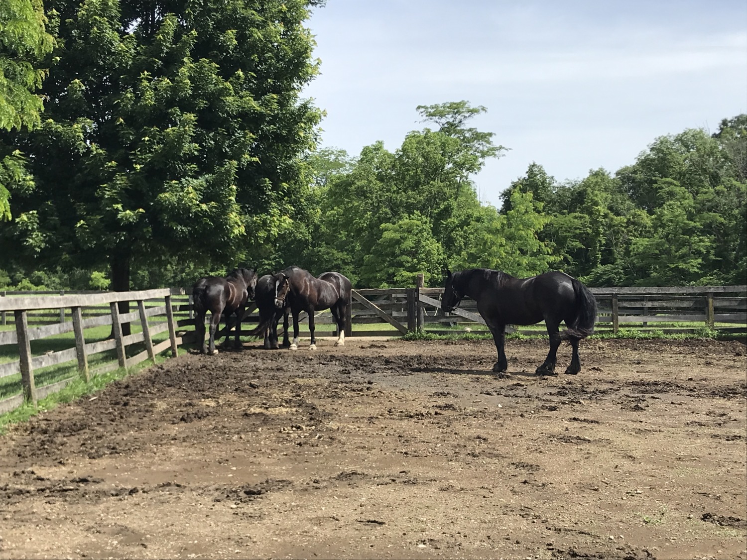 Slate Run Living Historical Farm Metro Park - Sharing Horizons