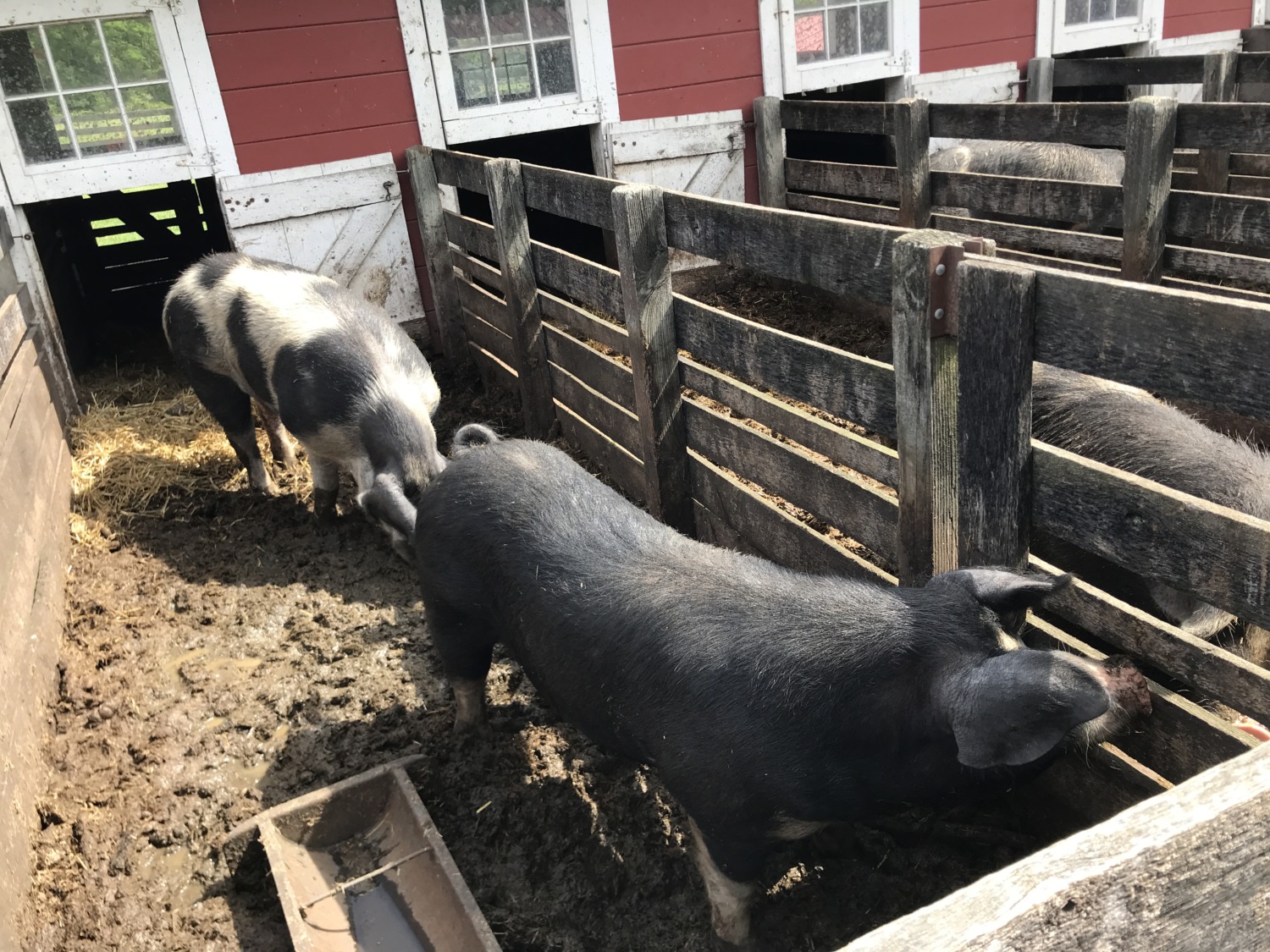 Slate Run Living Historical Farm Metro Park - Sharing Horizons