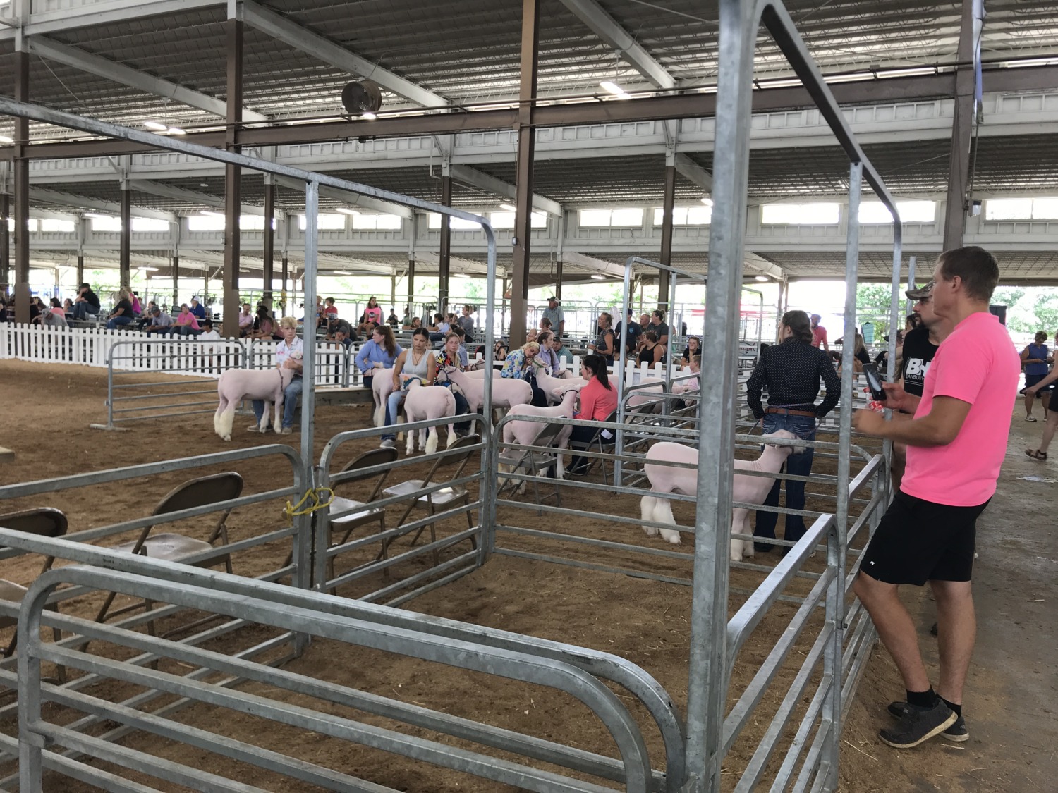 Ohio State Fair: Fair Food and Interesting Displays - Sharing Horizons